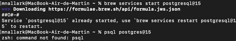 error paso 5 mac · issue 14 · iic2143 setup guides · github