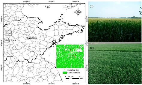 Figure 1 From Crop Phenology Detection Using High Spatio Temporal Resolution Data Fused From