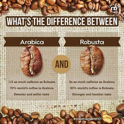 50 Different Types Of Coffee Drinks Explained Ultimate Guide Artofit