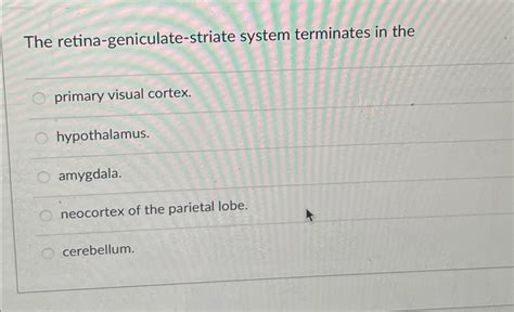 solved the retina geniculate striate system terminates in
