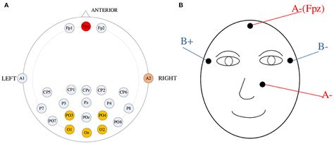 frontiers an online hybrid bci combining ssvep and eog based eye movements