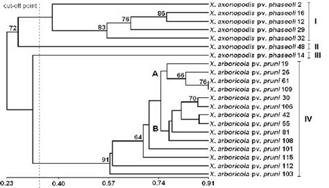 Dendrogram Obtained By Upgma Method Using Dices Similarity Coefficient