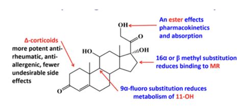 Corticosteroids Flashcards Quizlet