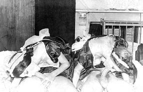 Vintage Black White Porn Pics PICTOA Vintage Black White Porn Pics PICTOA