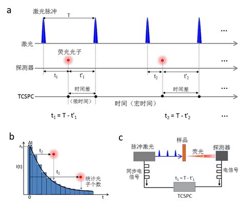 Some Key Issues In Fluorescence Lifetime Detection Accsci Insen