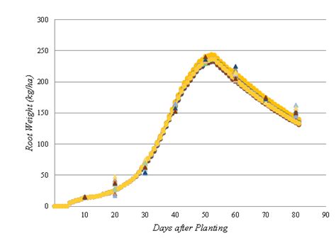 Dssat Prediction And Field Observation For Root Weight Symbols Download Scientific Diagram