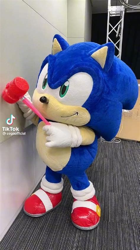 Cute Sega Sonic Sonic Funny Sonic Videos Sonic Birthday