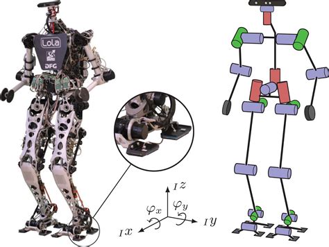 A Force Control Scheme For Biped Robots To Walk Over Uneven Terrain