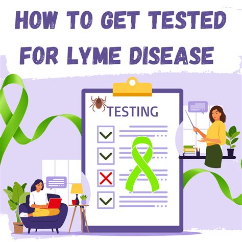 How To Get Tested For Lyme Disease Atlanta Ga Nutritionally Yours