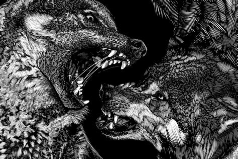 Portfolio Christopher Reuter