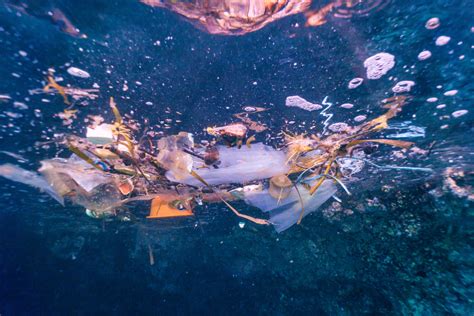 Microplastics Can We Clean Up The Oceans And Seas Using Technology