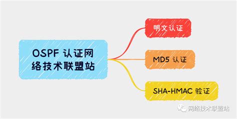 Ospf技术连载8：ospf认证：明文认证、md5认证和sha Hmac验证 腾讯云开发者社区 腾讯云