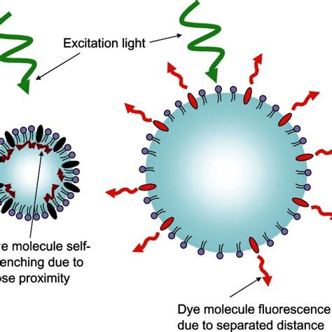 Schematic Representation Of The Fluorescent Light Modulating Blinking Download Scientific