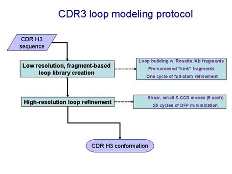 Antibody Structure Prediction And The Use Of Mutagenesis