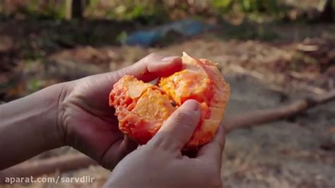 اشپزی دختر چینی ۱۱۴