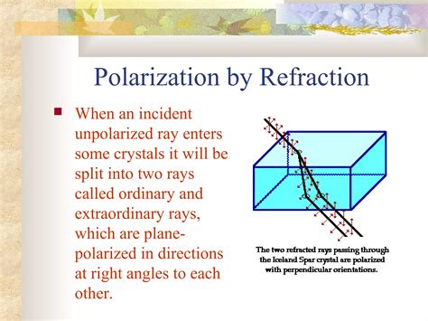 Polarization Ppt