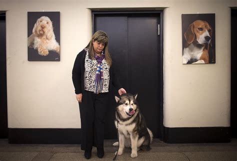 Man Falls To His Death After Faulty Elevator Door Opens Without A Lift Cab
