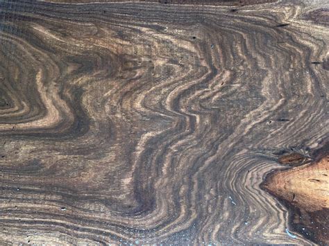 How Much Is Black Walnut Wood Worth Udnwiy