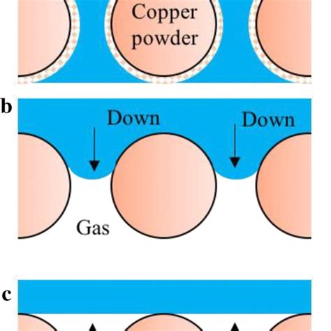 Schematic Diagram Of Fabrication Process For The Porous Structures Download Scientific Diagram