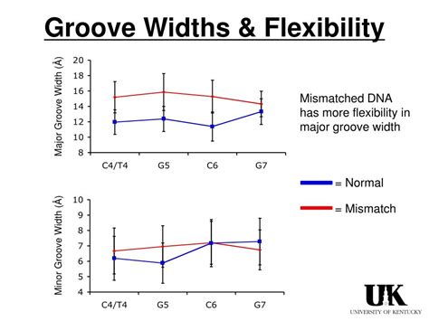 Ppt Correlation Of Dna Structural Features With Internal Dynamics And