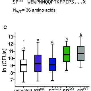 Transgenic Males Lacking The N Terminus Of Sex Peptide Do Not Elicit Download Scientific