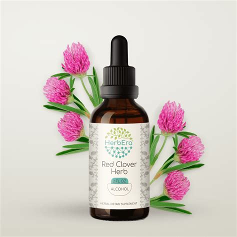 Red Clover Herb Alcohol Herbal Extract Tincture Super Concentrated Red