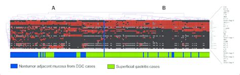 unsupervised multivariate hierarchical clustering analysis euclidean
