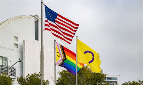West Hollywood Installs New Intersex Pride Flags On Intersex Awareness Day