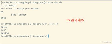 shell编程入门一天掌握shell编程 CSDN博客