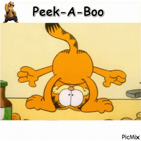 Garfield Cat Upside Down Peek A Boo 