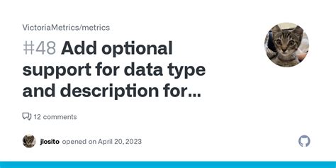 Add Optional Support For Data Type And Description For Metrics Issue
