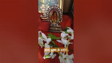 बाल कृष्ण के दर्शन 🙏🕉🌼🪷 Krishna Krishnabhajan Youtube
