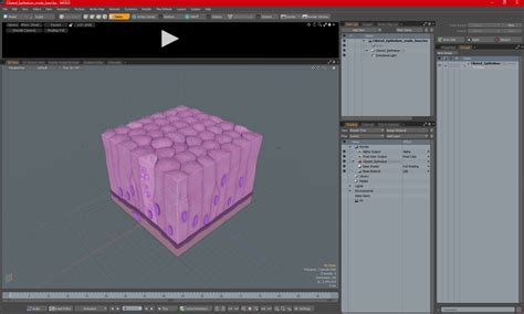 Ciliated Epithelium 3d Model Turbosquid 2235469