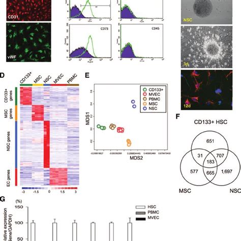 gene expression microarray analysis of three somatic stem cells pbmcs
