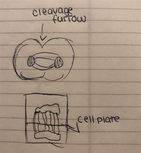 Smarticle Particle Papers On Tumblr