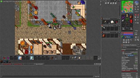Tibia Carlin Zonas De Caza Level 50 Youtube
