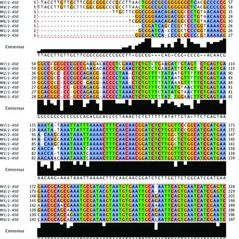 Multiple Sequence Alignment For The Eight New Fungal Isolates To