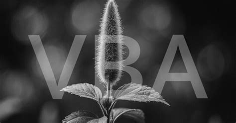 【vba】文字列を日時型のデータに変換する｜vbaああしてこうしたい