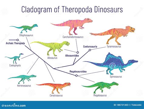 Cladogram Cartoons Illustrations And Vector Stock Images 20 Pictures