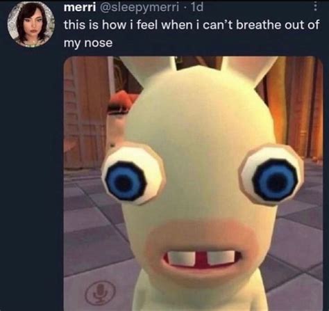 In My Mouthbreather Era Funny Memes Hilarious Relatable