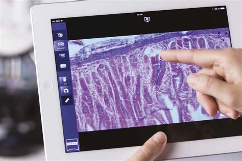 Купить Мікроскоп Primo Star цена 65600 ₴ — Promua Id1606186654