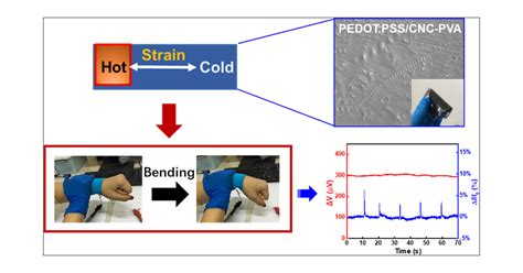 Highly Flexible Stretchable And Self Powered Strain Temperature Dual