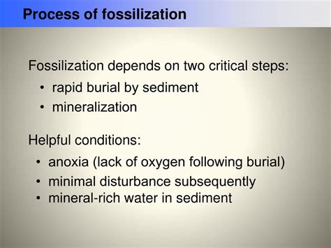 Ppt Fossilization And Fossils Powerpoint Presentation Free Download