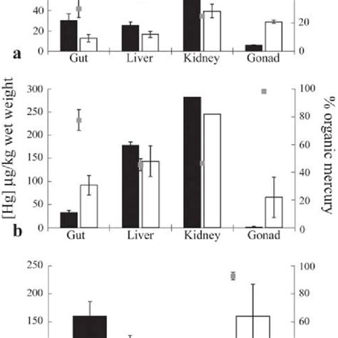Mean Concentrations And Ratios Of Mercury In Different Tissues Of Download Scientific Diagram