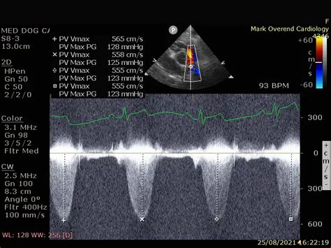 Services Ultrasound Scanner Training