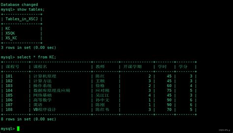 数据库实验二常用SQL查询语句使用 查询出性别为男的所有学生的学号 姓名 课程号和成绩 联合查询 CSDN博客