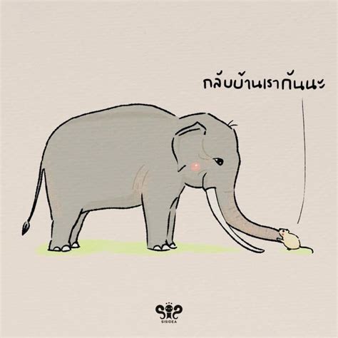 “หนูนา” เผย “พลายศักดิ์สุรินทร์” จะแข็งแรงเต็มร้อย คงต้องรักษาที่แผ่นดินไทยชั่วชีวิต