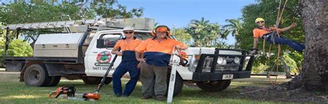 What Is Tree Lopping And Why Is It Important Aussie Tree Removal Darwin