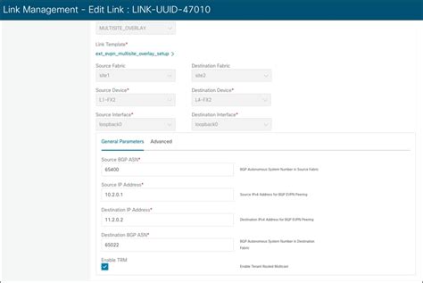 Tenant Routed Multicast In Cisco Nexus VXLAN BGP EVPN Data Center Fabrics Fundamental