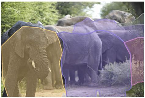 Different Visualization Results Among Minival2014 And Val2017 · Issue